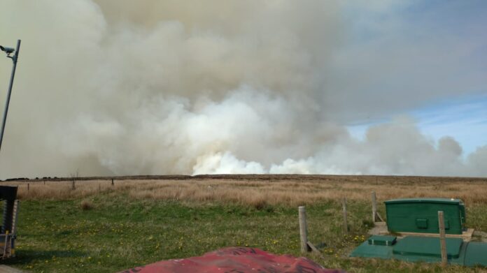 Goyt Valley wildife - Latest update Derbyshire Fire & Rescue Service 3.45pm